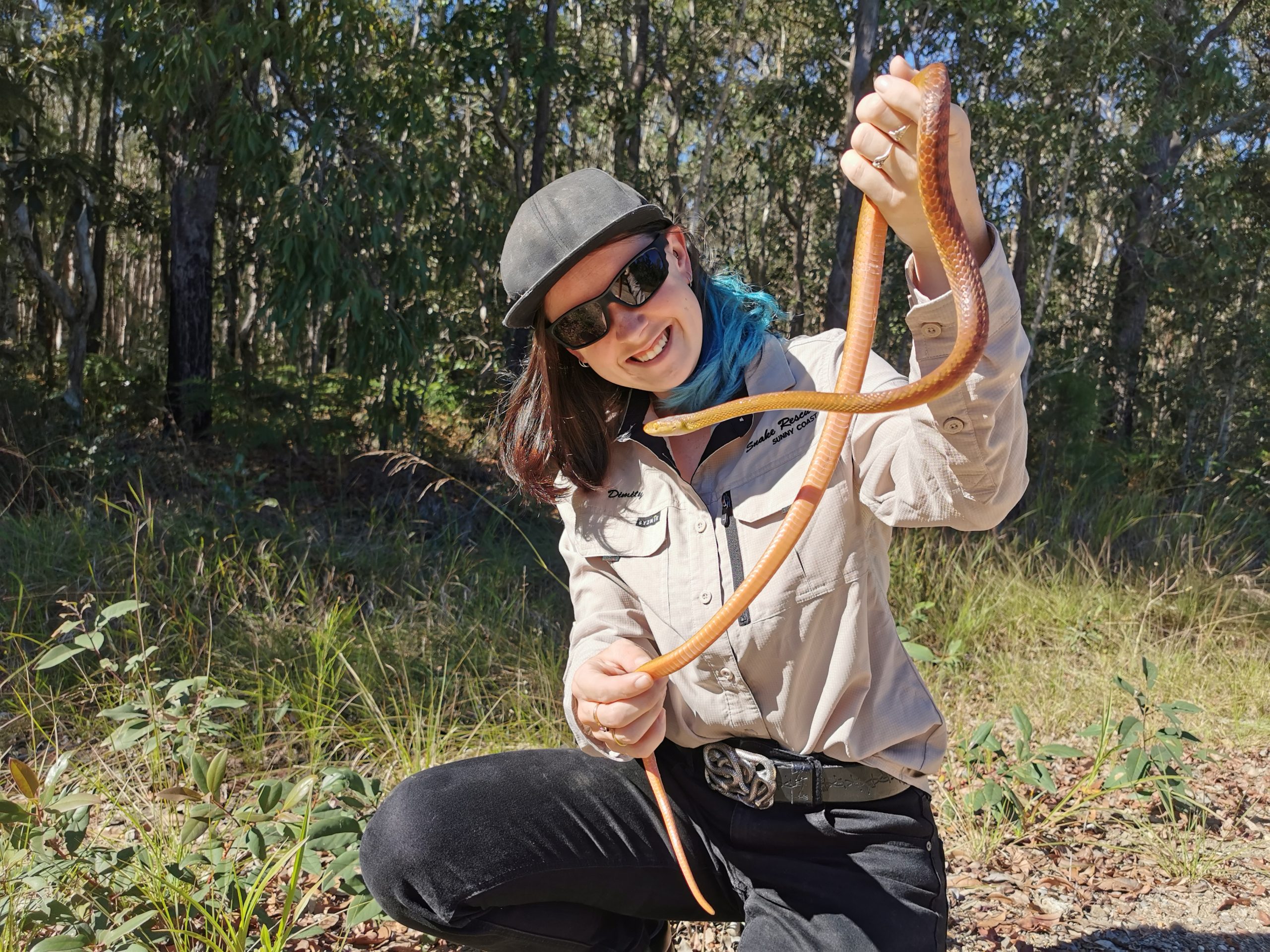 Brown Tree Snake | Australian Brown Tree Snake | Snake Rescue
