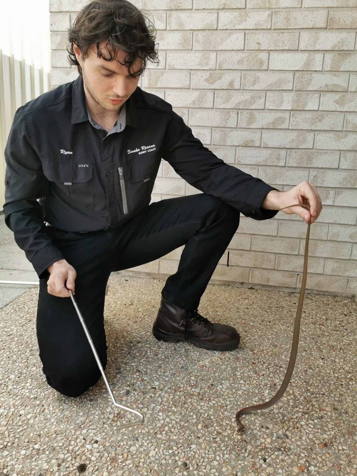 Snake Bite First Aid | Licensed Snake Handlers | Snake Rescue