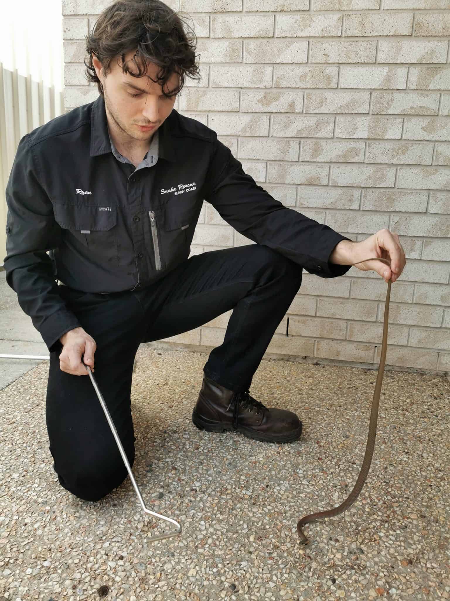 Snake Bite First Aid | Licensed Snake Handlers | Snake Rescue