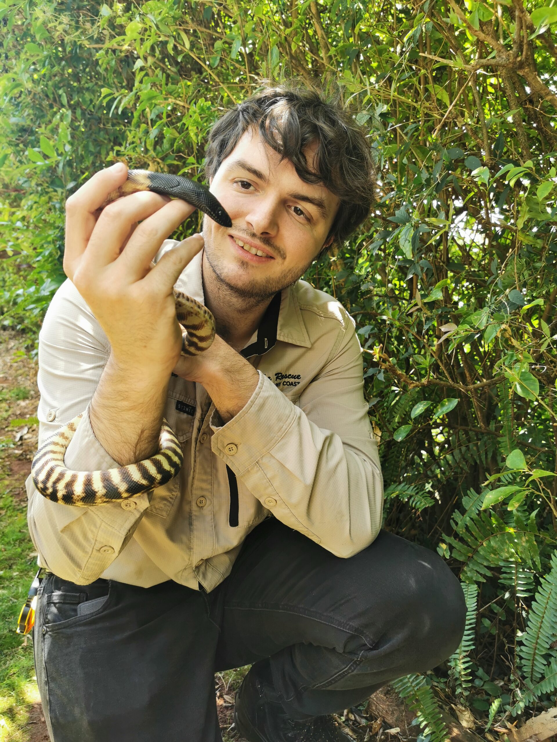 Services | Snake Rescue Sunshine Coast